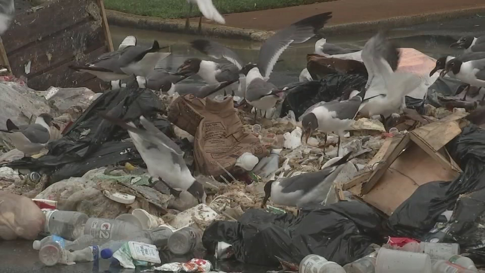 Trash truck causes mess in parking lot of NJ apartments - ABC7 New York