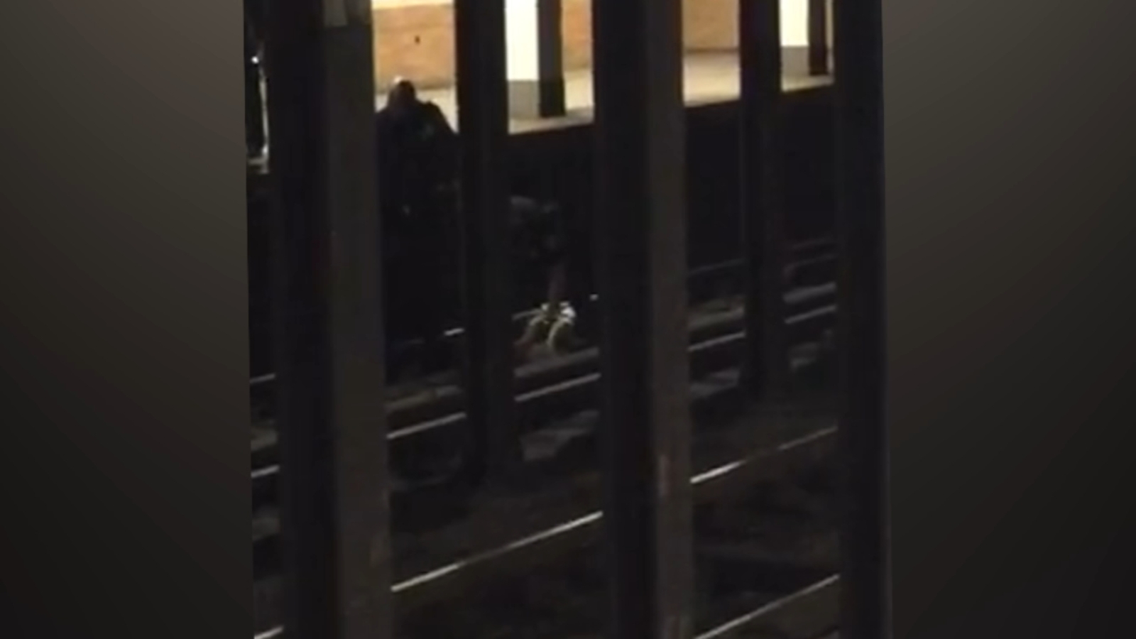 VIDEO: Officers take down man on subway tracks in Manhattan - ABC7 New York