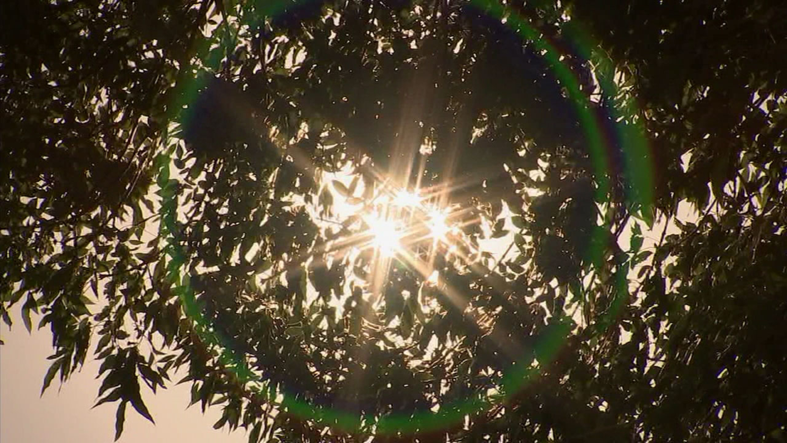 Flex Alert issued across California amid heat wave - ABC7 San Francisco