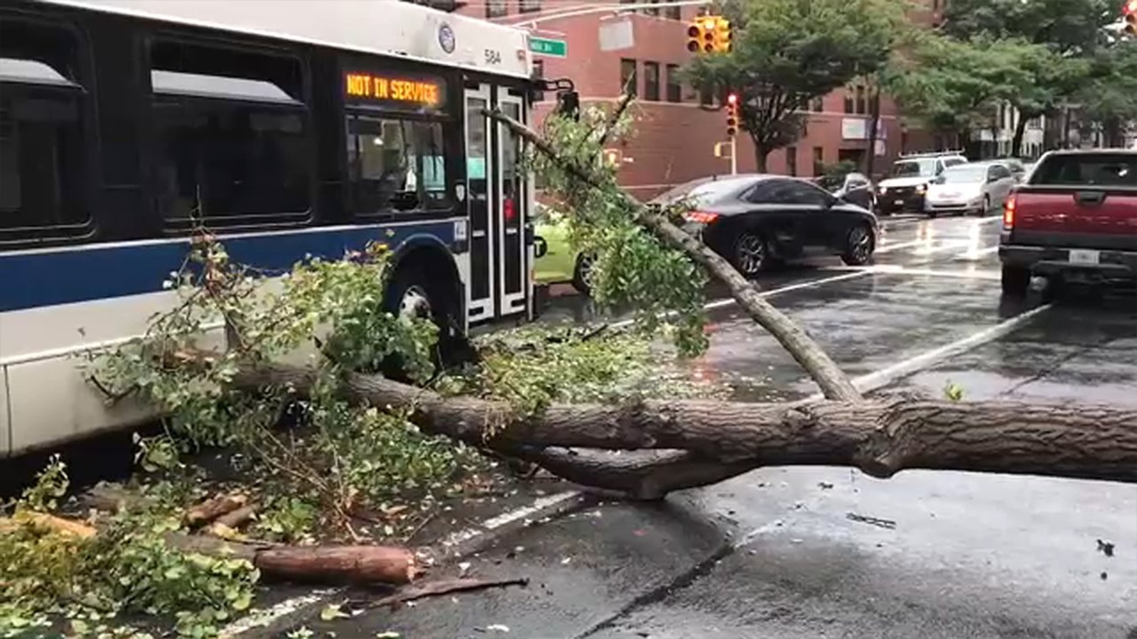 Tree falls on MTA bus in Boerum Hill, Brooklyn - ABC7 New York
