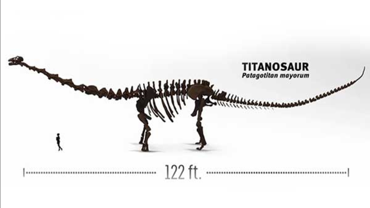Largest dinosaur ever discovered heads to Field Museum, Sue the T. rex ...