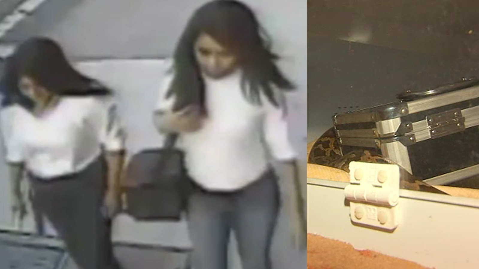 Police impersonators steal $10,000 protected by giant snakes from ...