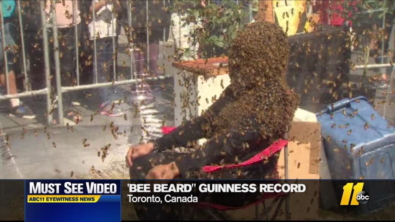 Watch: Man sets new world record covered in bees - ABC11 Raleigh-Durham