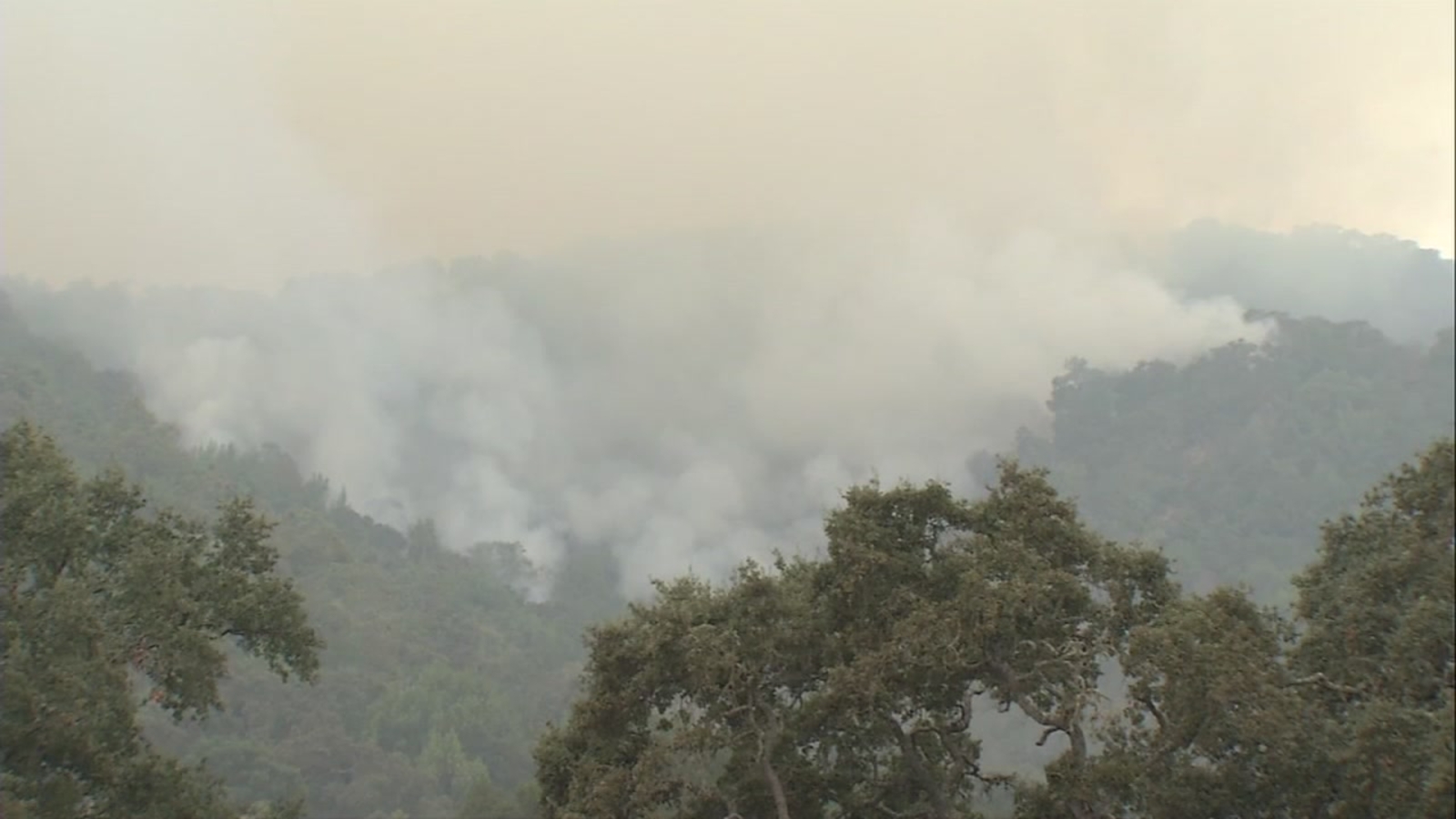 Firefighter injured battling Gilroy Hills brush fire - ABC7 San Francisco