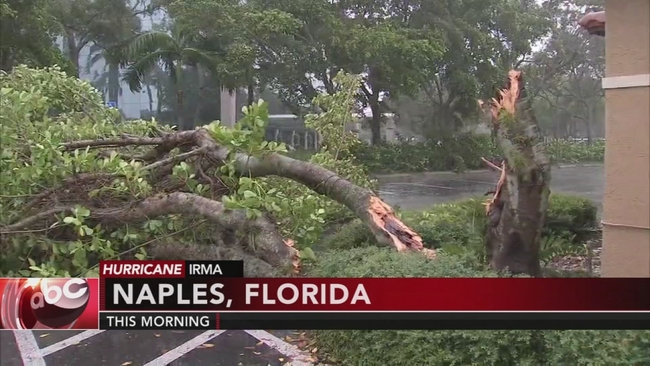 Brian Taff in Florida reports on Irma's aftermath - 6abc Philadelphia