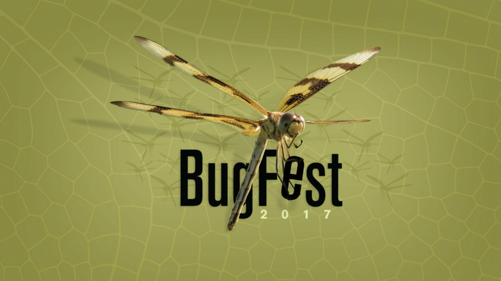 Join Us at BugFest 2017 - ABC11 Raleigh-Durham