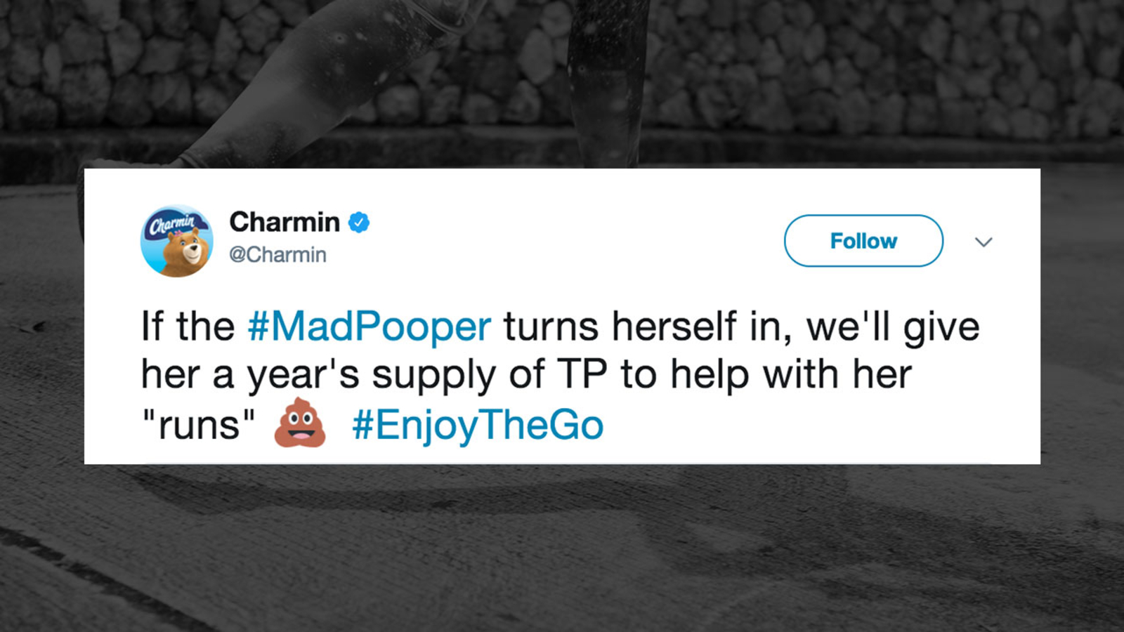 Charmin offers free toilet paper to the 'mad pooper' if she turns ...
