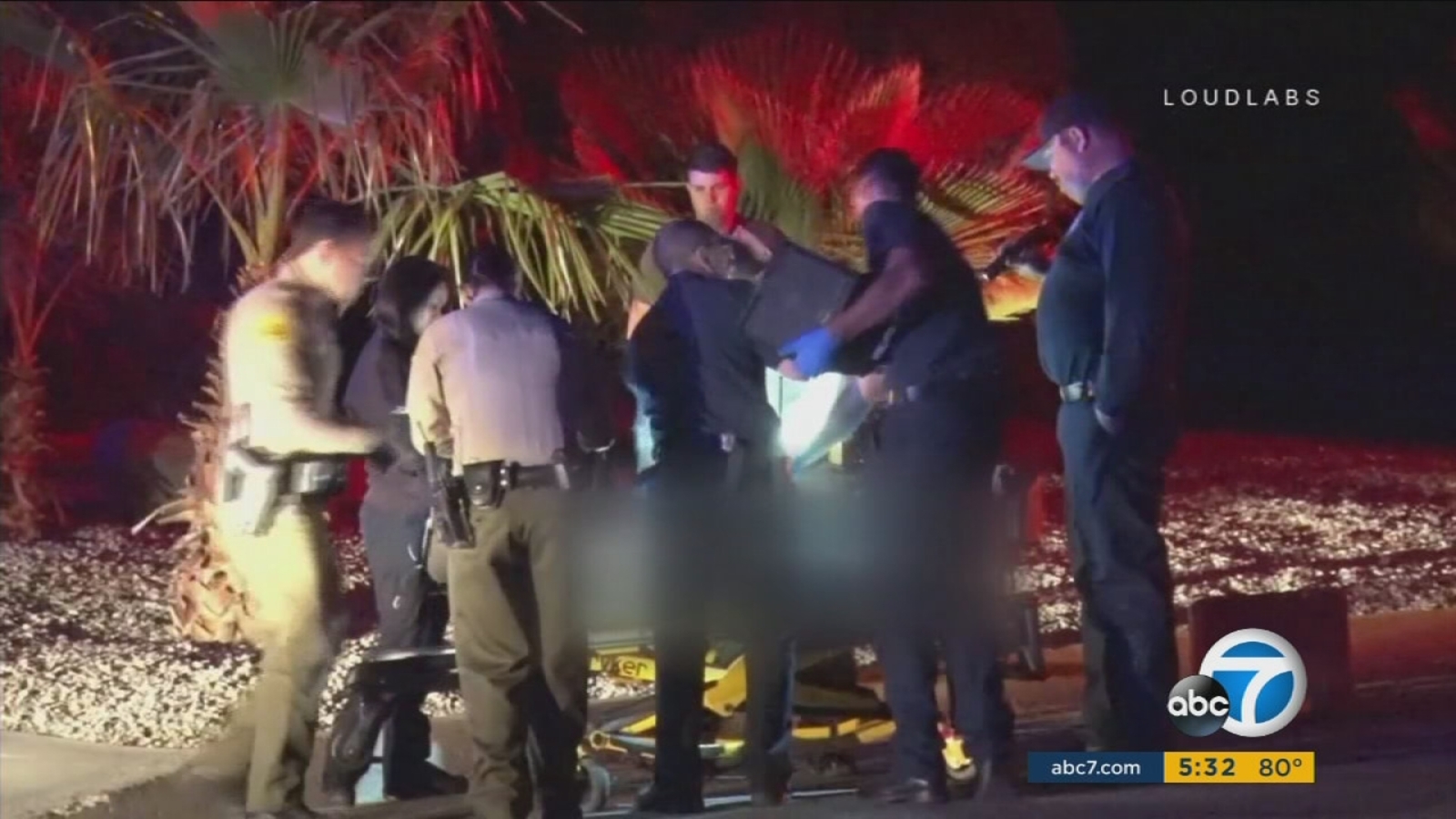 Girl, 2, accidentally shot by father cleaning gun, deputies say - ABC7 ...