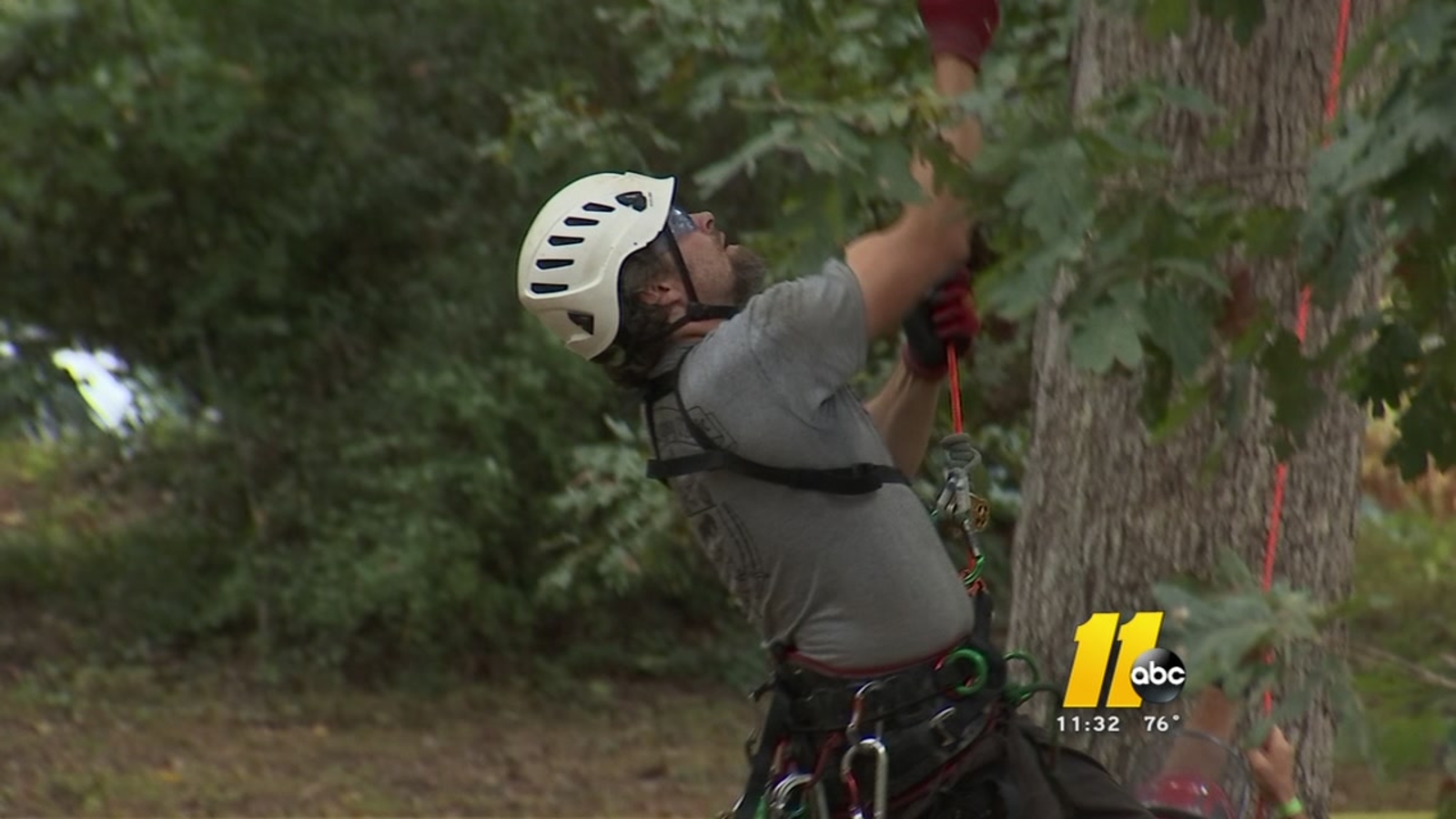 First ever team tree climbing competition held at Duke Park - ABC11 ...