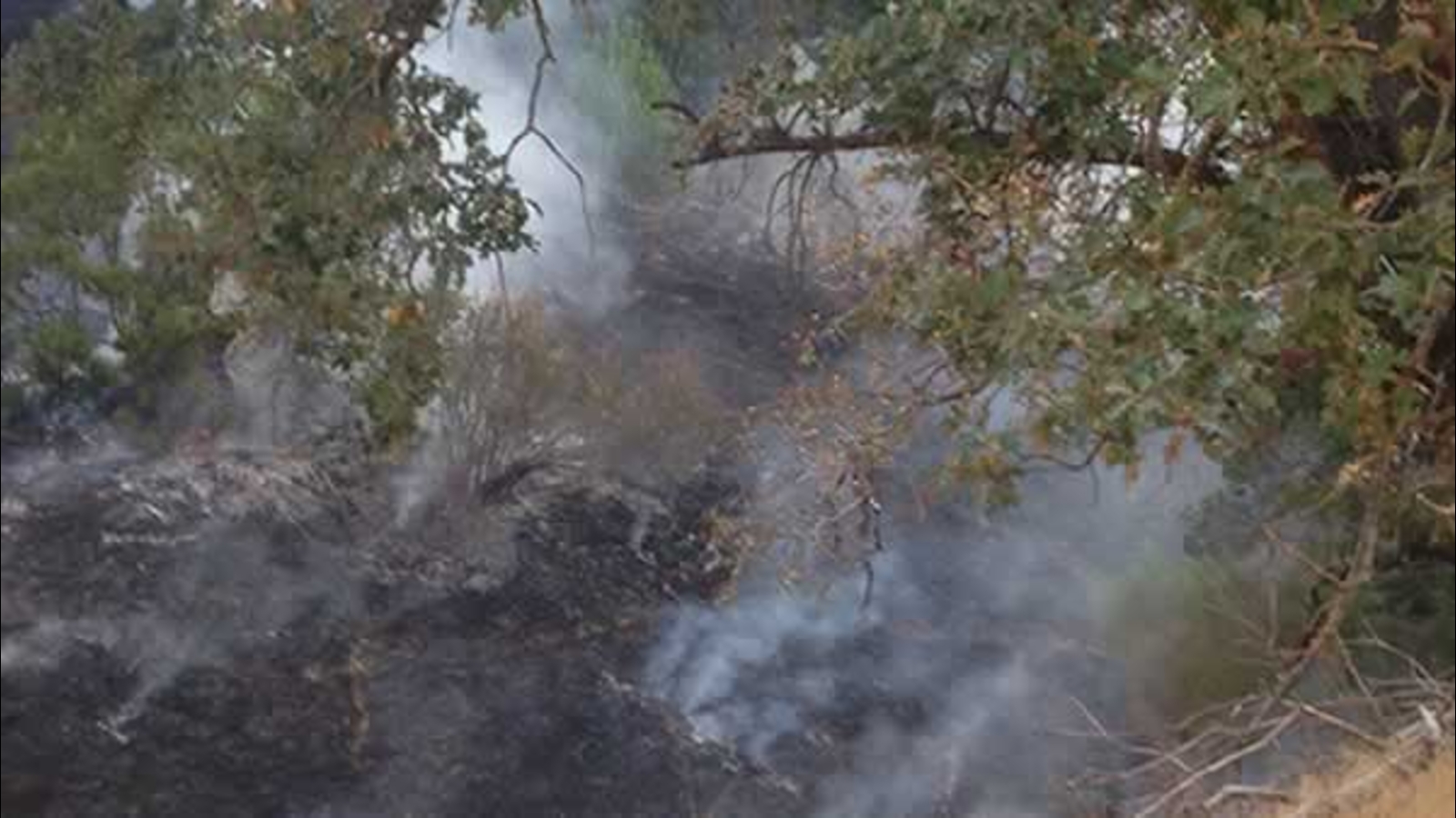 Crews contain 1-acre vegetation fire in San Rafael - ABC7 San Francisco