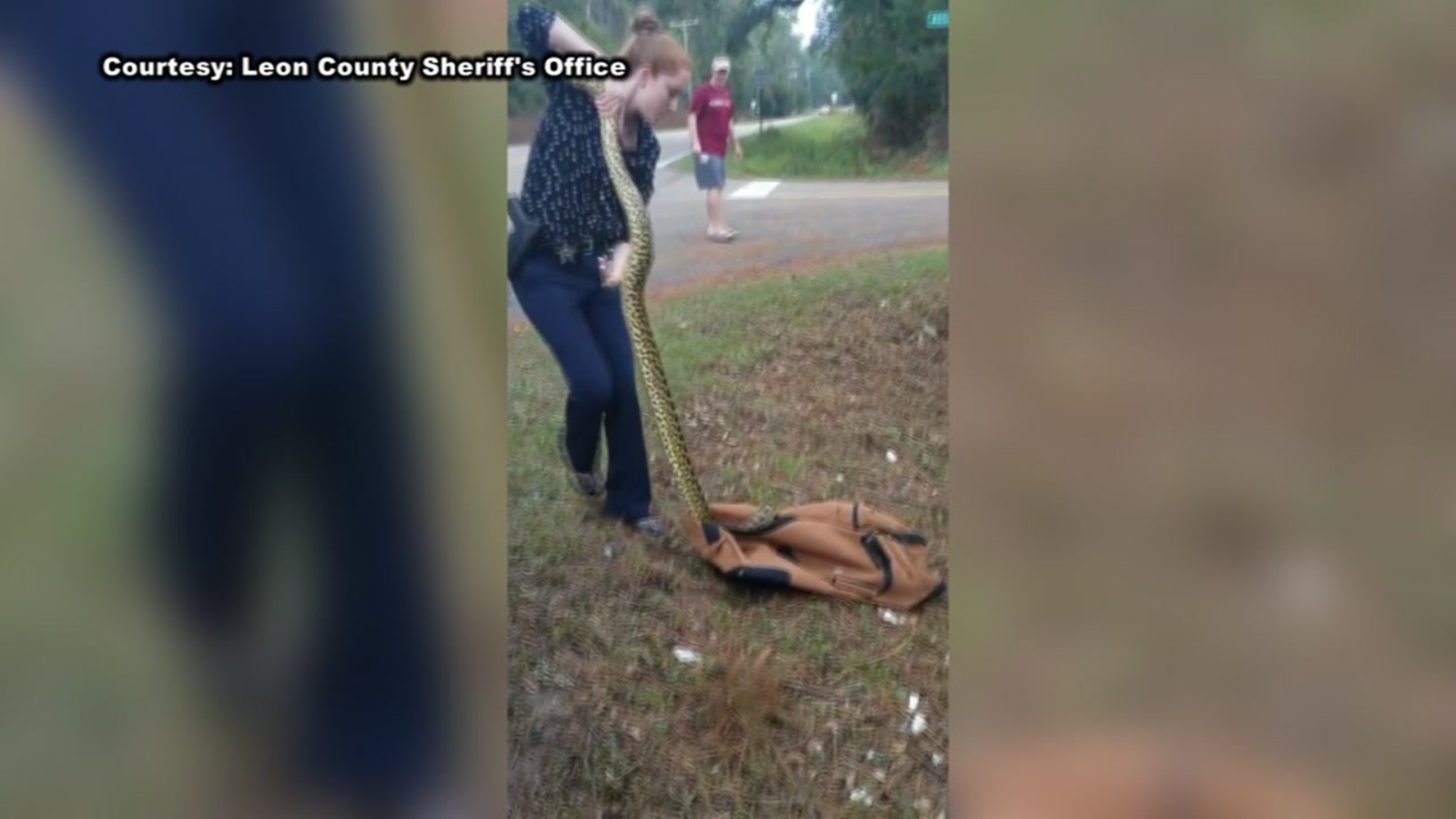Officer wins in face-off with 9-foot snake - ABC11 Raleigh-Durham