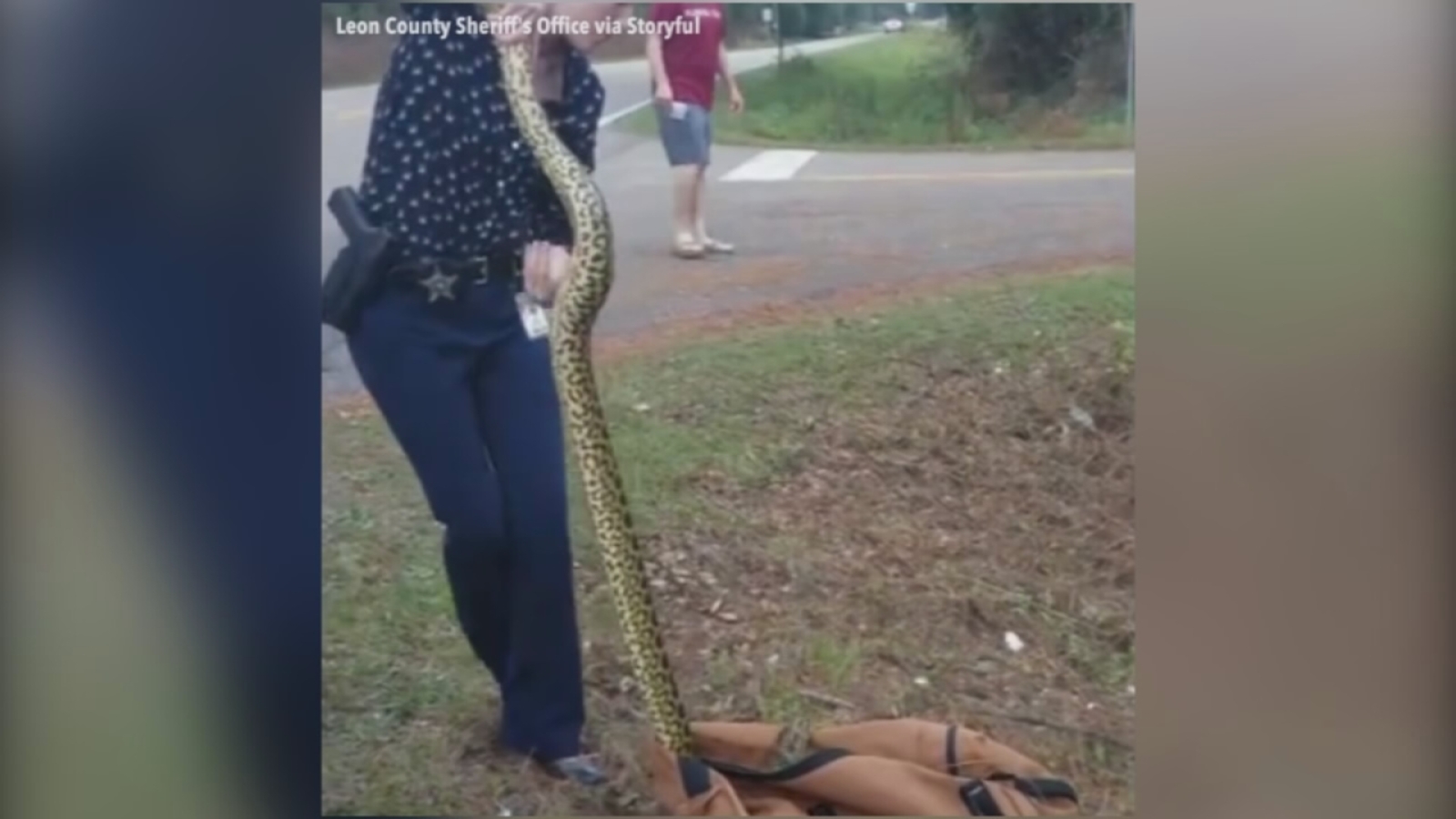 Officer wins in face-off with 9-foot snake - 6abc Philadelphia