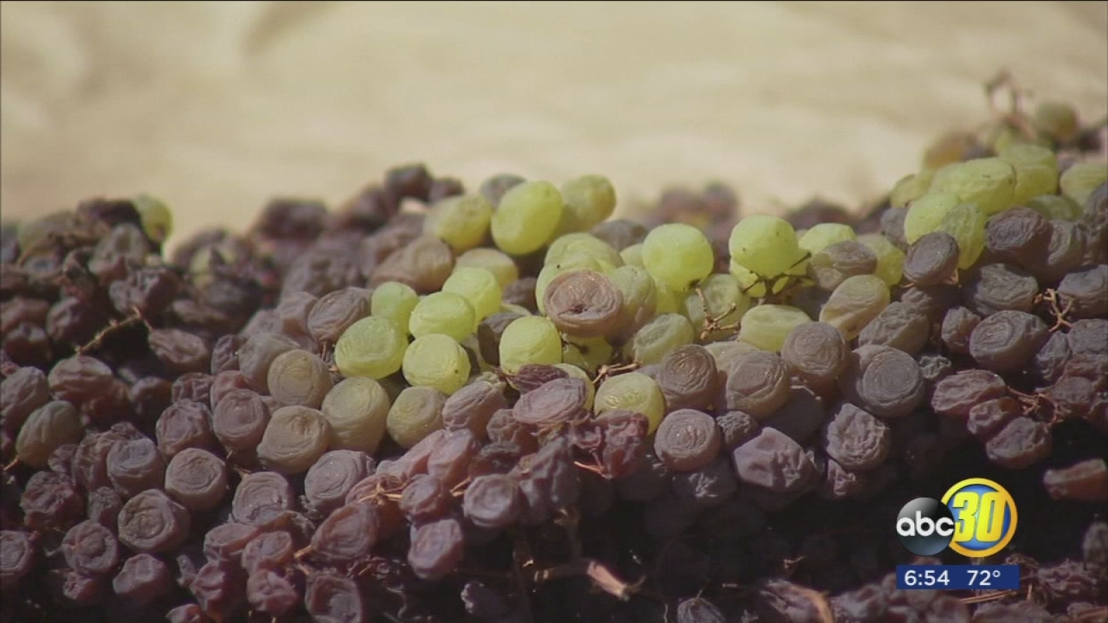Weather damage this season resulted in raisin growers seeing their ...
