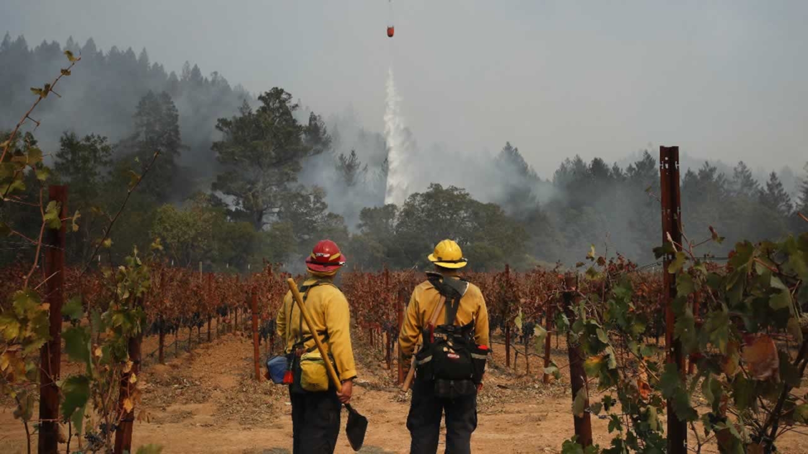 North Bay Wildfires Day 7: Wind-fueled flames force new evacuations ...