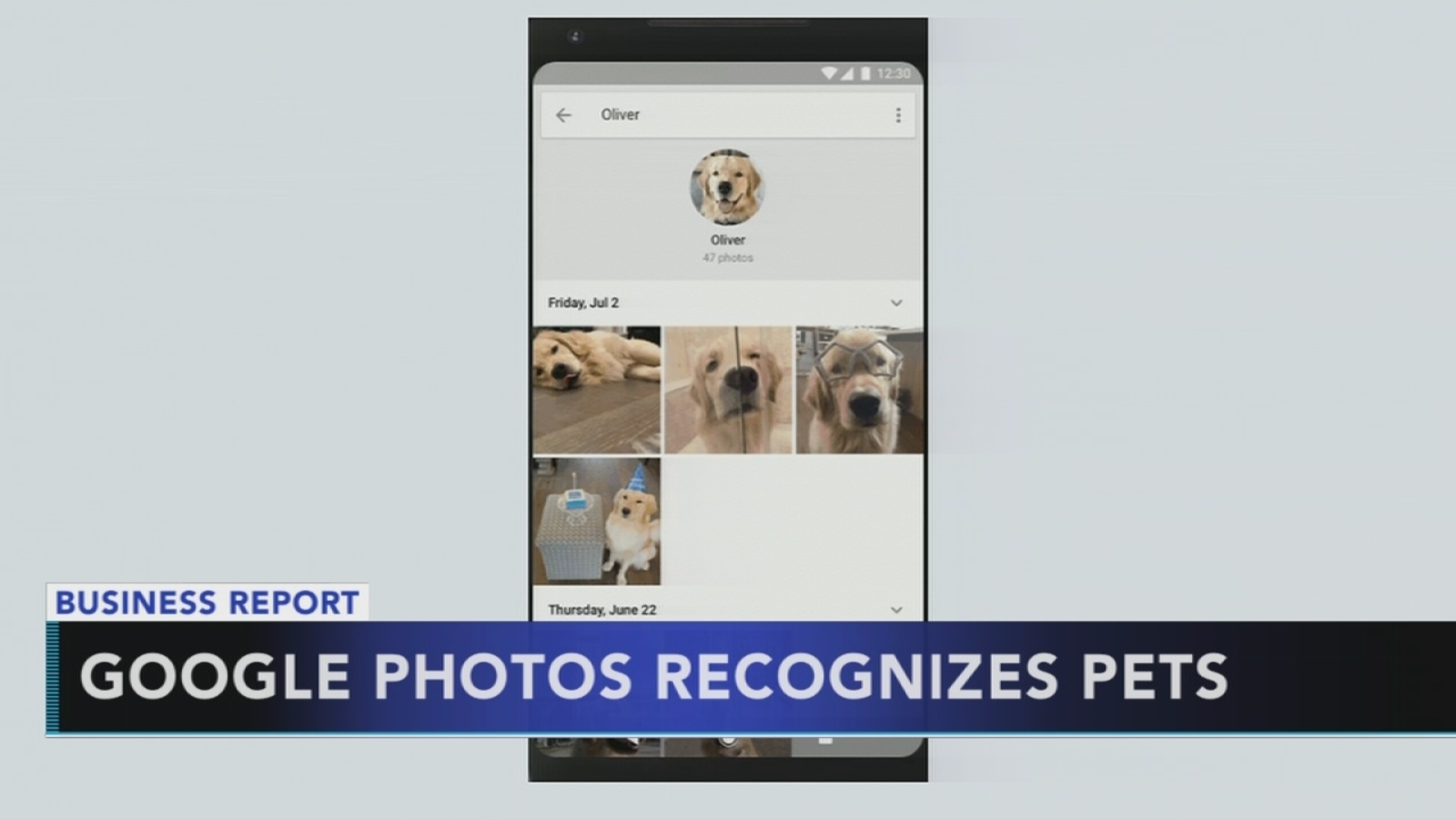 Google will recognize your pet's face in photos - 6abc Philadelphia