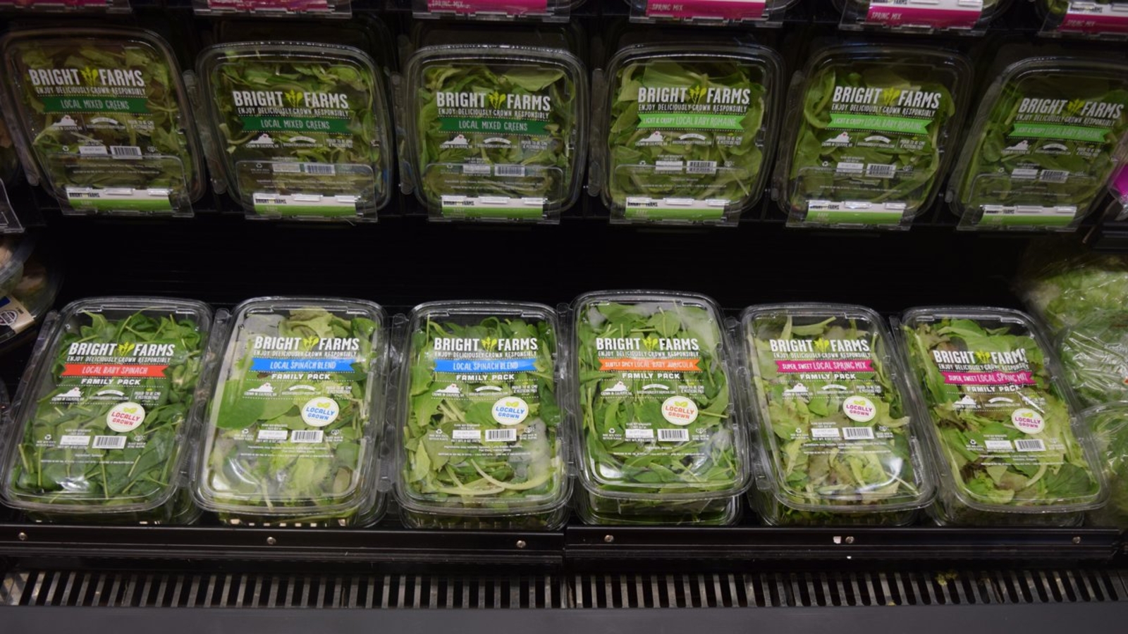 BrightFarms salad mix, basil sold at Mariano's recalled due to E. coli ...