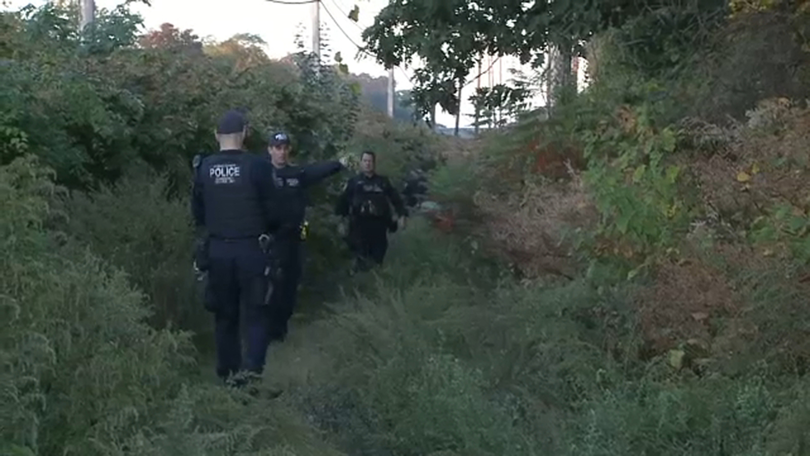 Human remains recovered in wooded area in Nassau County - ABC7 New York