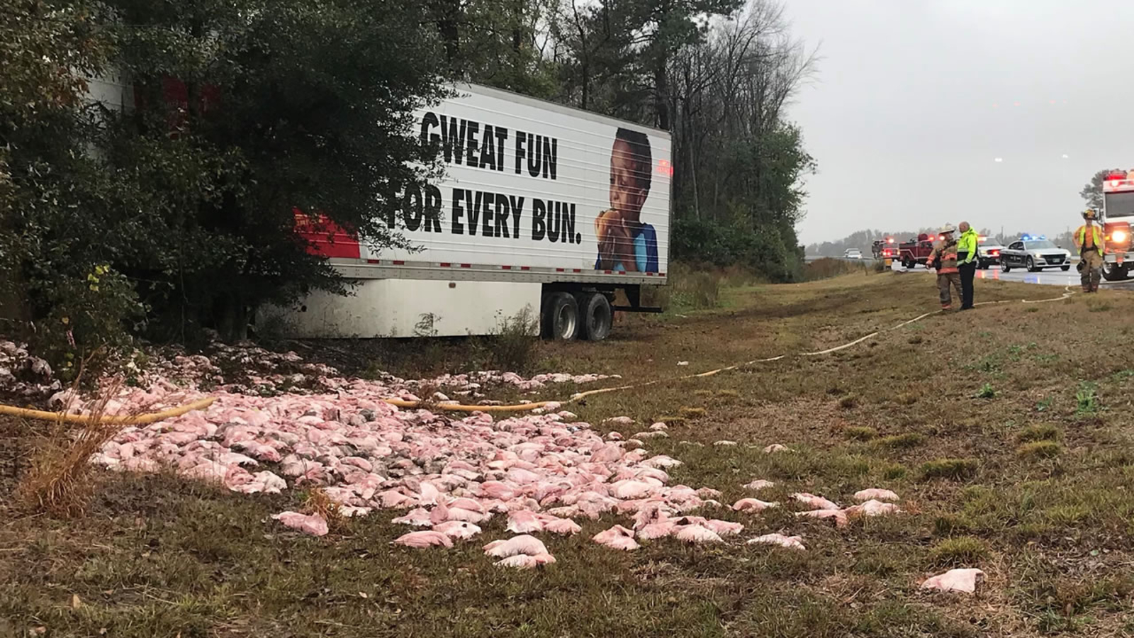 Load of ham spills in Wayne County truck crash - ABC11 Raleigh-Durham