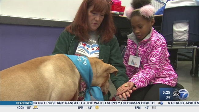 Meet the dogs helping CPS students learn how to read - ABC7 Chicago