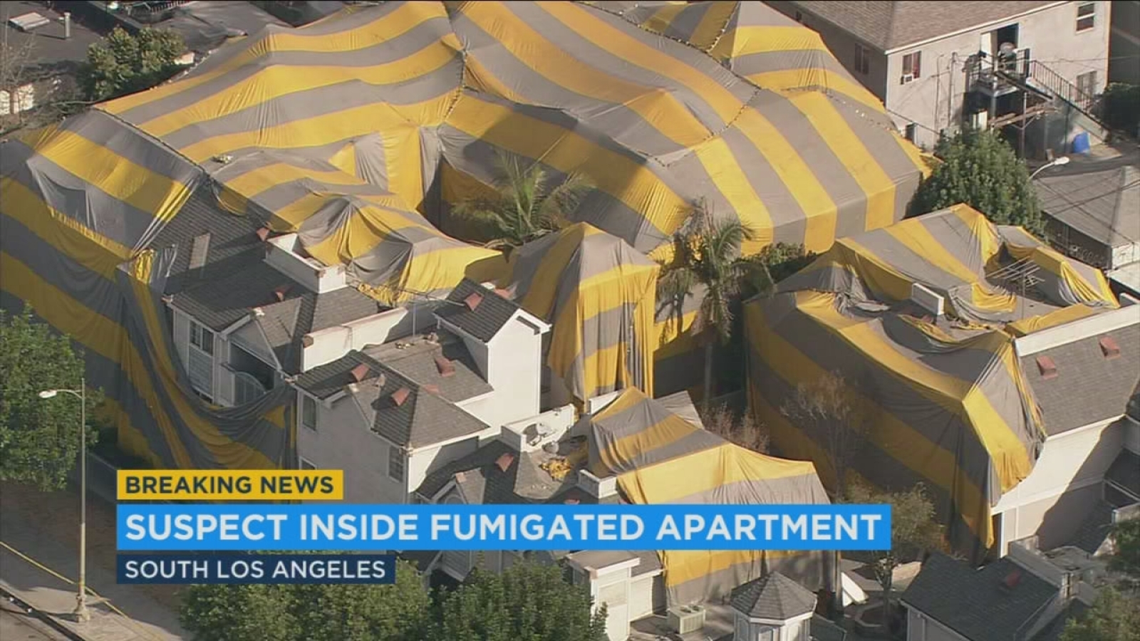 SWAT team searches for burglary suspect at South LA building tented for ...
