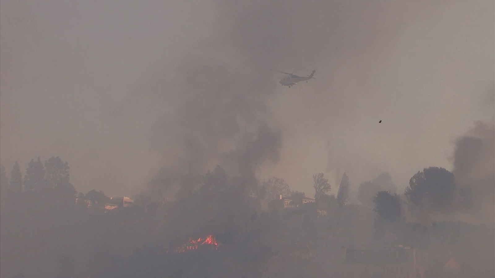 Skirball Fire in Bel Air area now 75 percent contained, fire officials ...