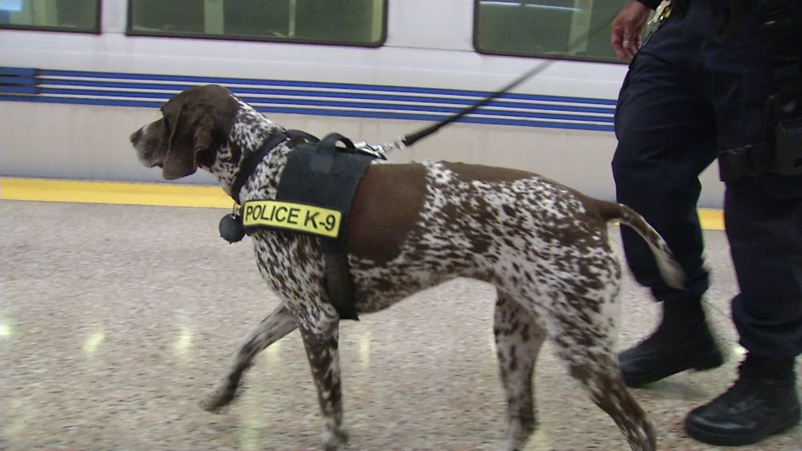 BART steps up patrols following attempted terrorist attack in NYC ...
