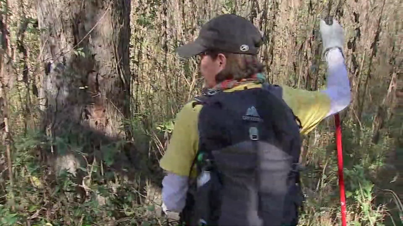 Equusearch volunteers looking for missing 11-year-old boy in southeast ...