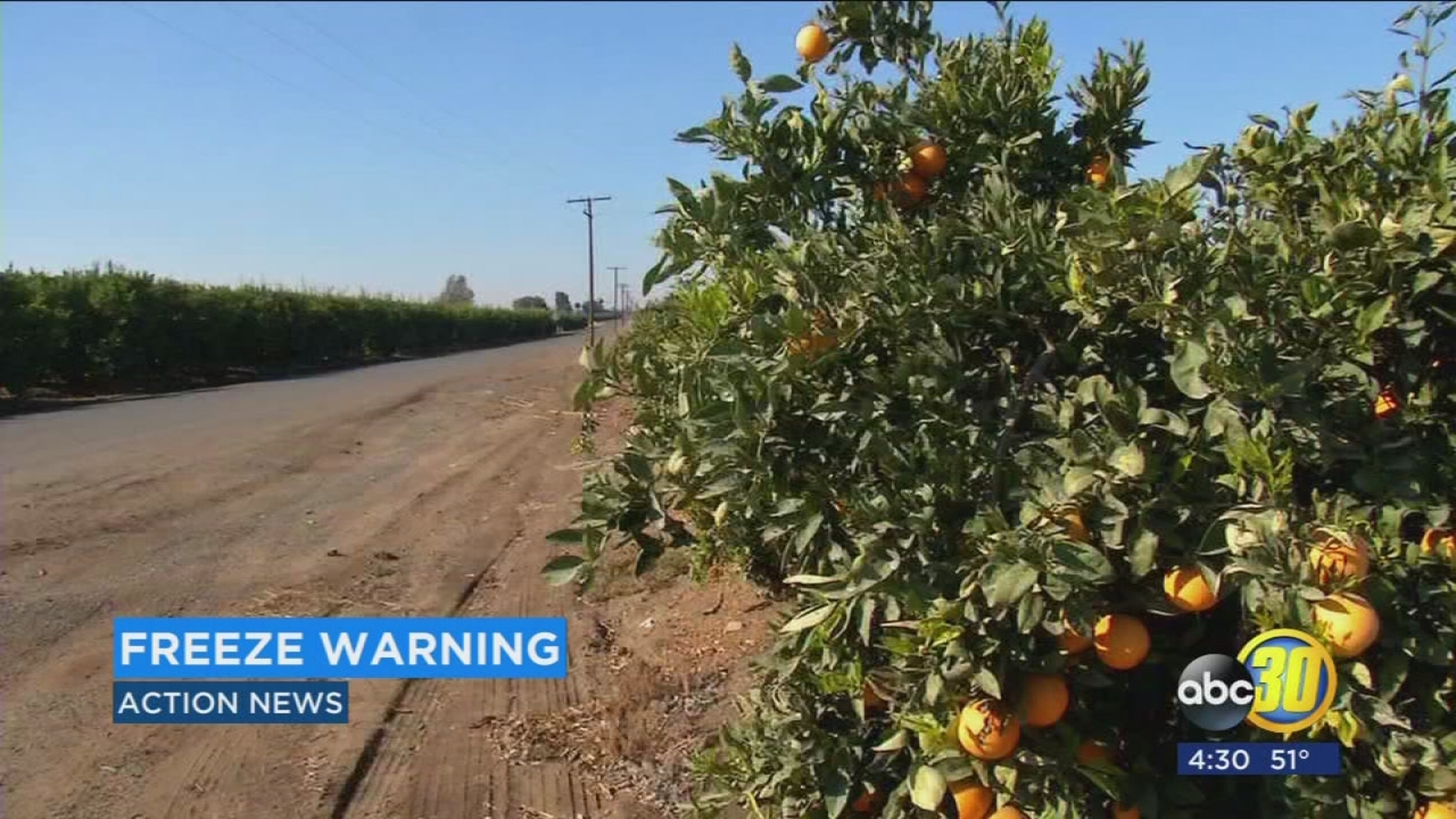 Citrus growers endure cold temps that threaten crops - ABC30 Fresno