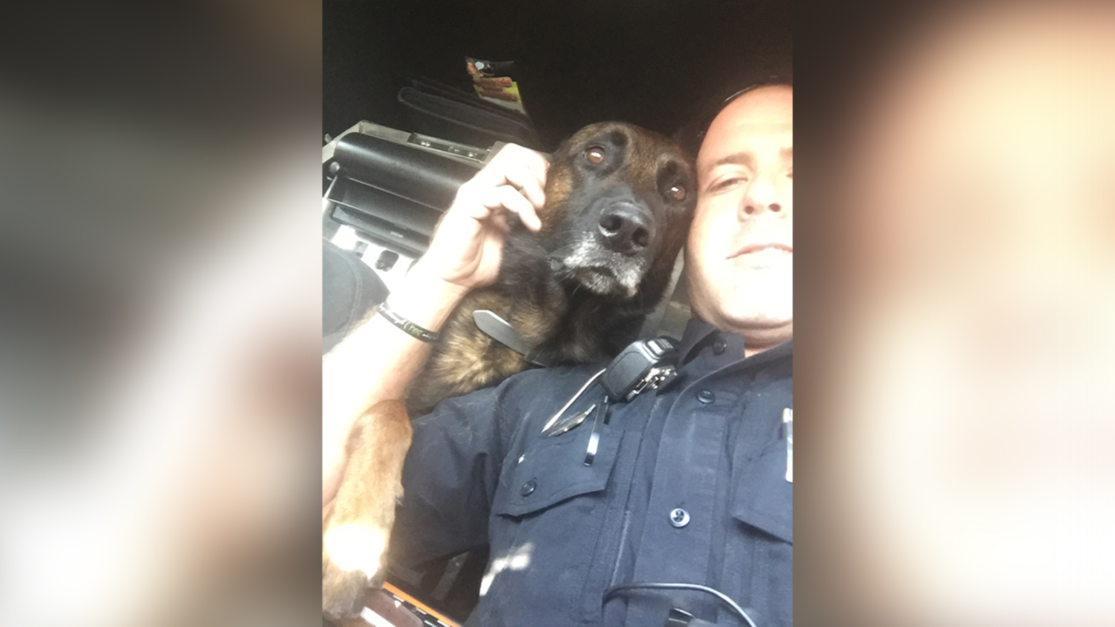 Roanoke Rapids K9 Officer Gets New Body Armor Abc11 Raleigh Durham