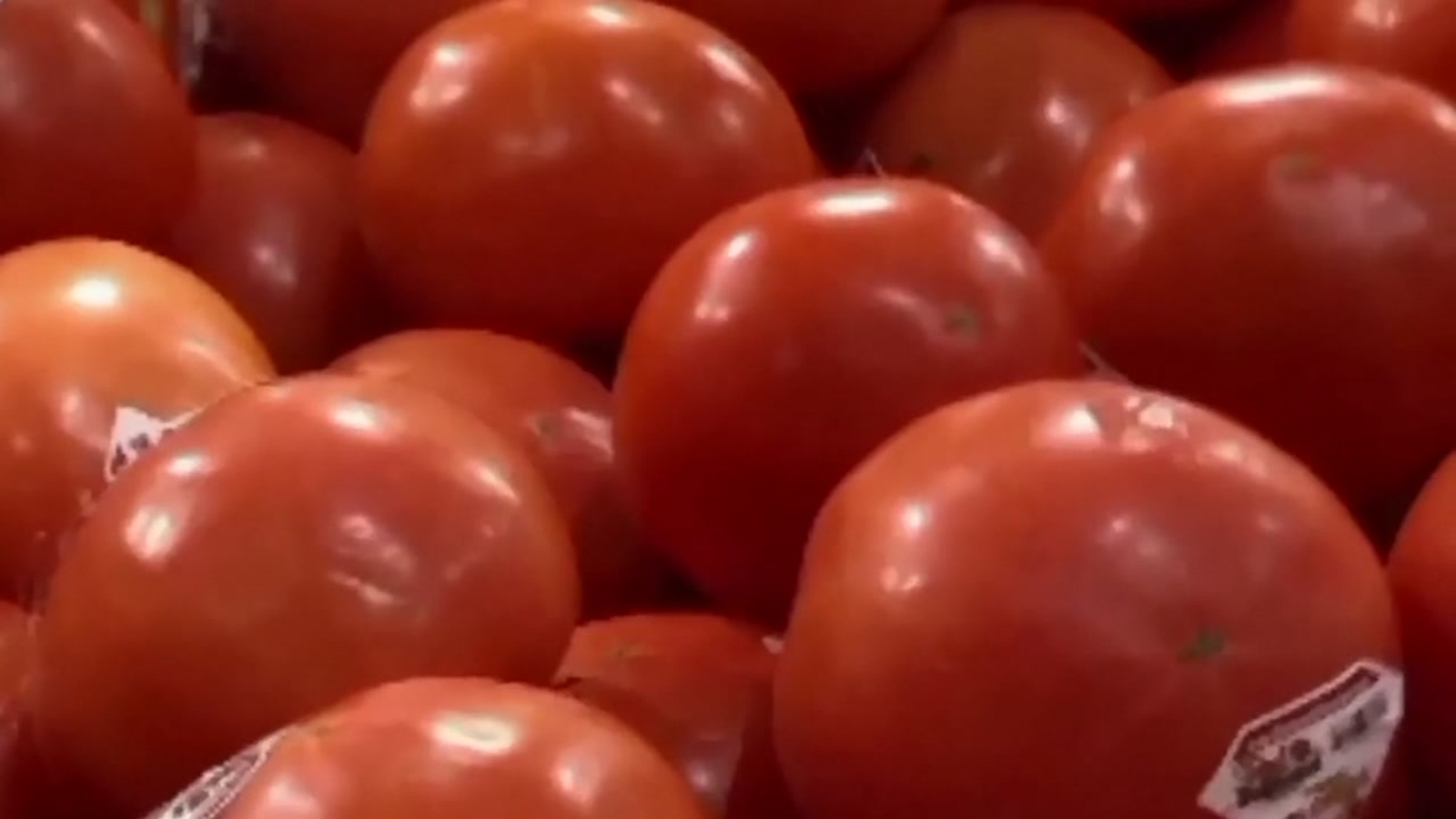 Tomato prices skyrocket thanks to Hurricane Irma - ABC13 Houston