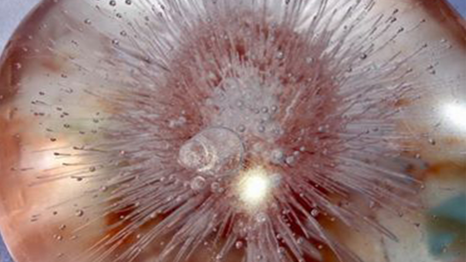 PHOTOS: This is the perfect weather for making 'ice marbles!' - ABC11 ...