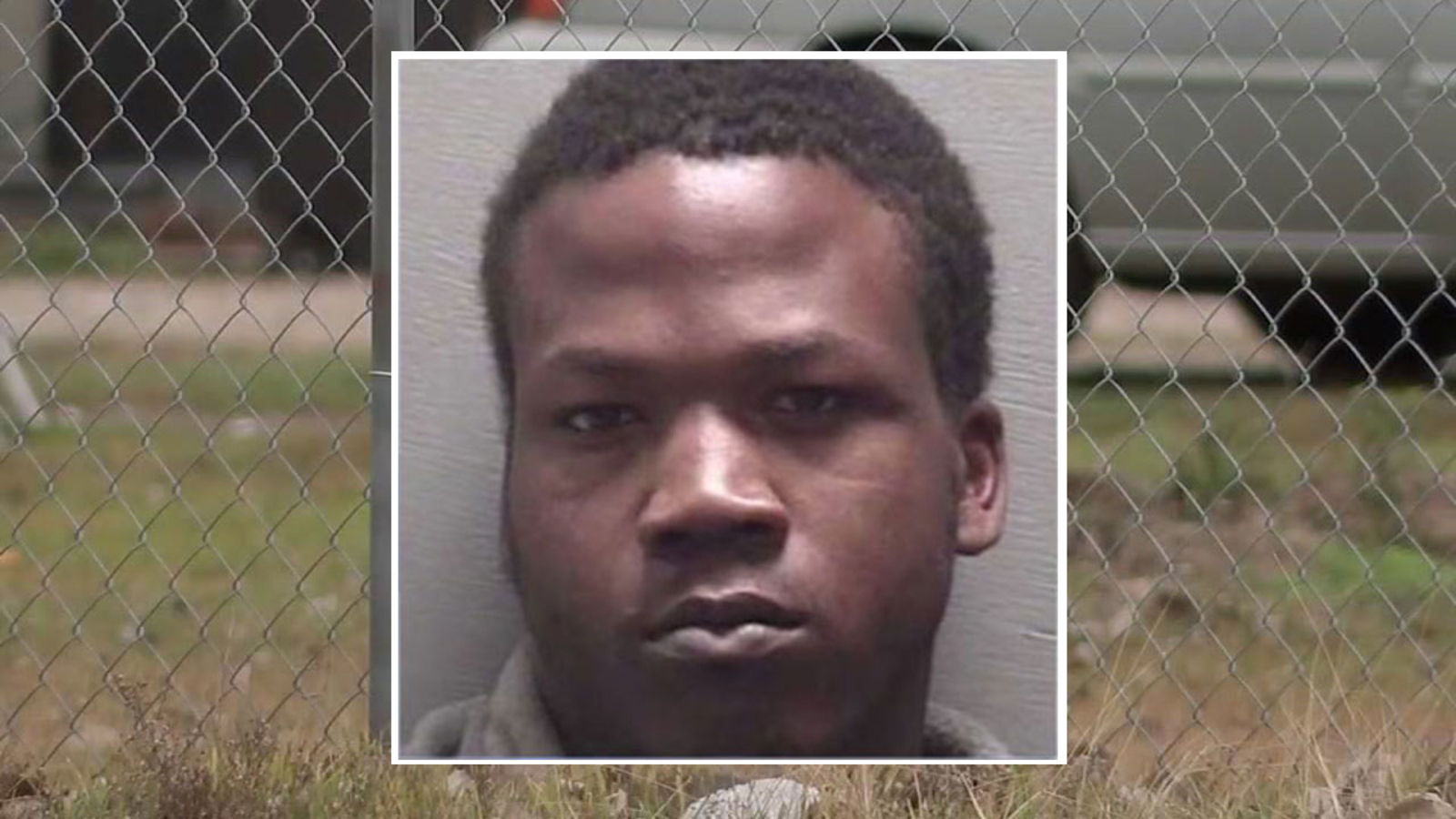 'Frustrated' man accused of kicking and punching dog in Dickinson ...