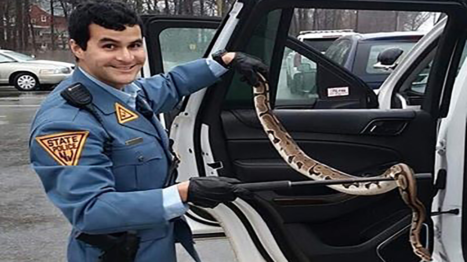 State police respond after snake found near toll booth in Blooomfield ...