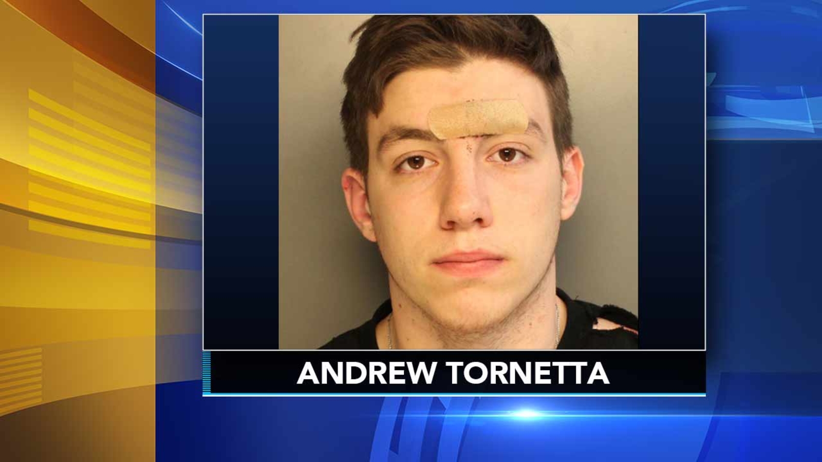Man struck officer, police horse prior to Philadelphia Eagles game ...