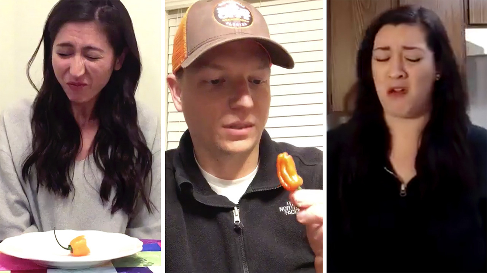 ALS Pepper Challenge: The Ice Bucket Challenge gets a spicy twist ...