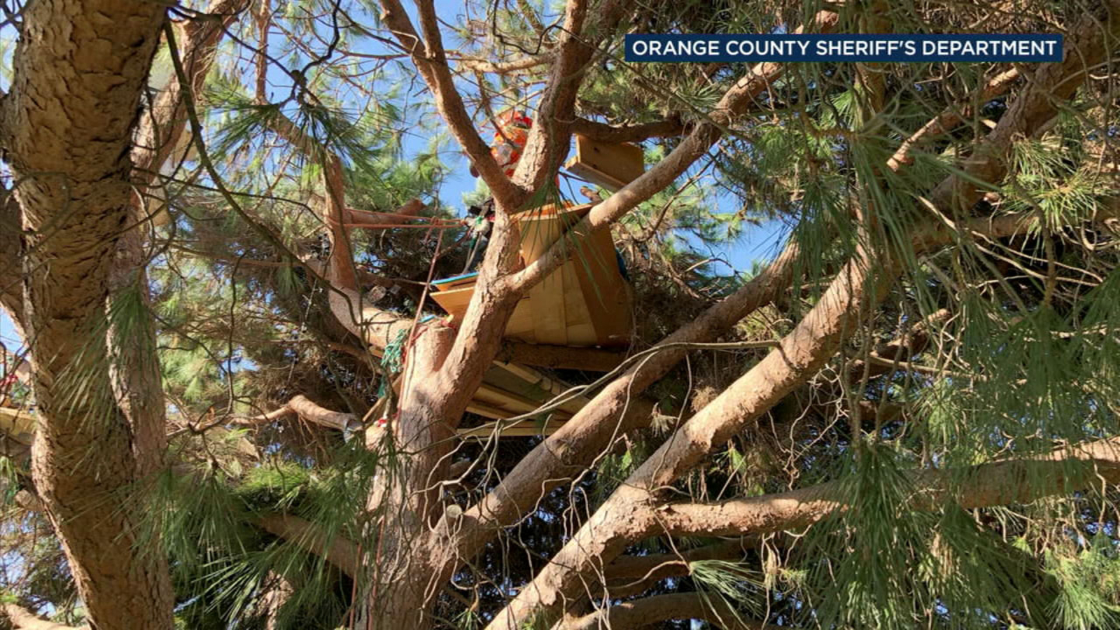 Tree-trimming crews find elaborate tree house in California park ...