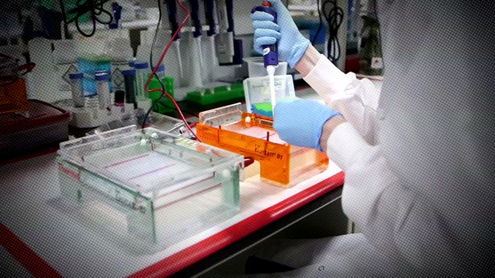 Drug maker claims new pill can wipe out flu virus in one day - ABC7 San ...