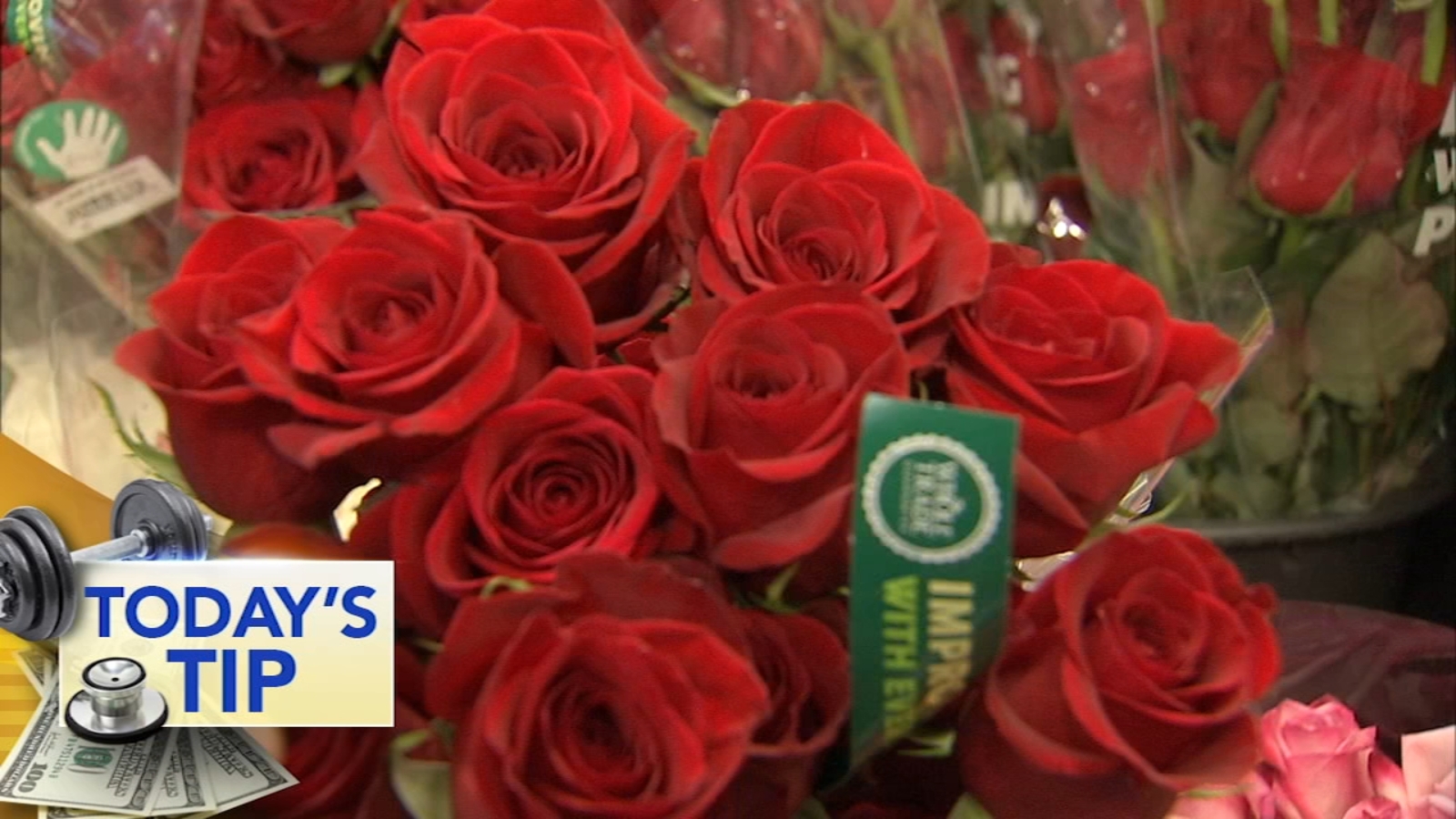 Picking the best roses - Today's Tip - 6abc Philadelphia