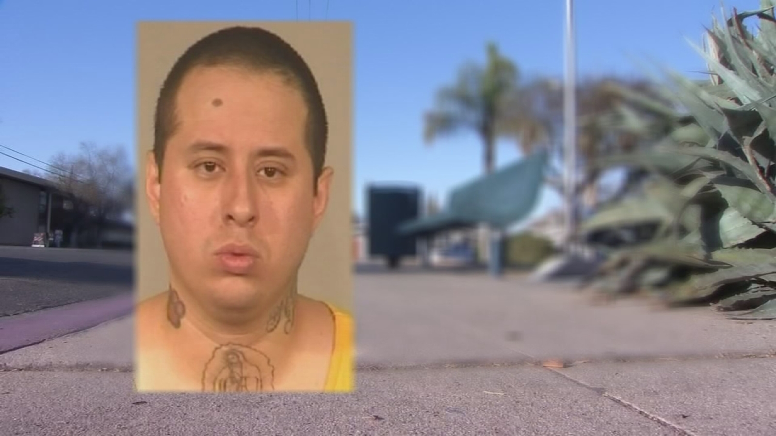 Bus driver helps teen get away from man allegedly trying to rape her on ...