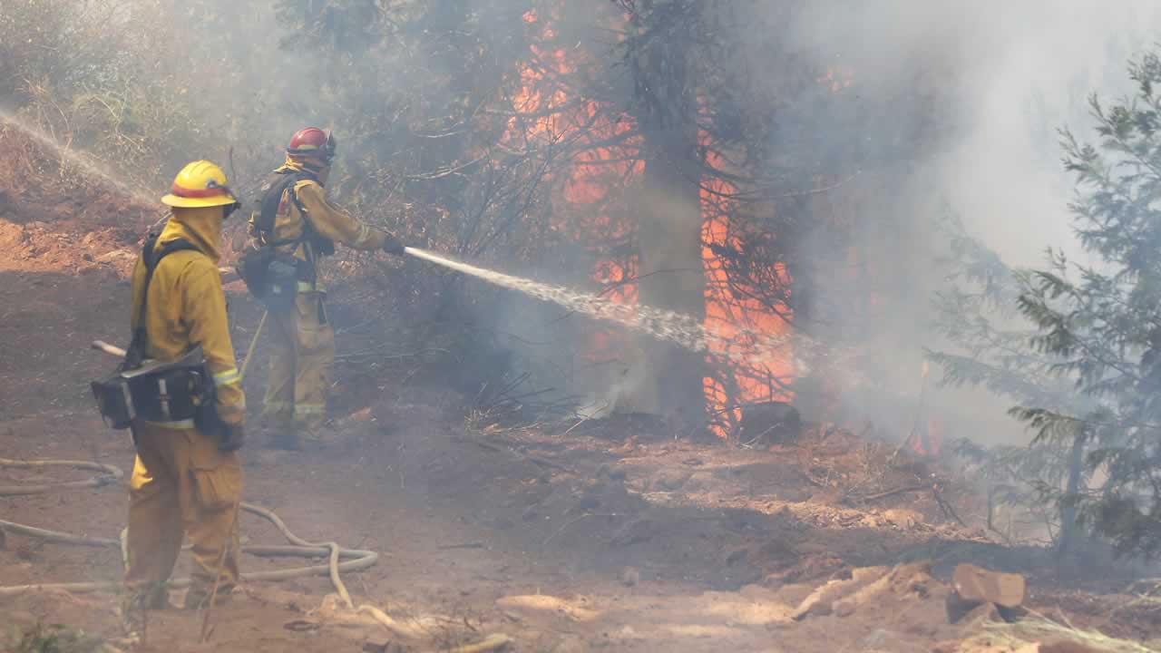 PHOTOS: Massive fire threatening 12,000 homes around town of Pollock ...