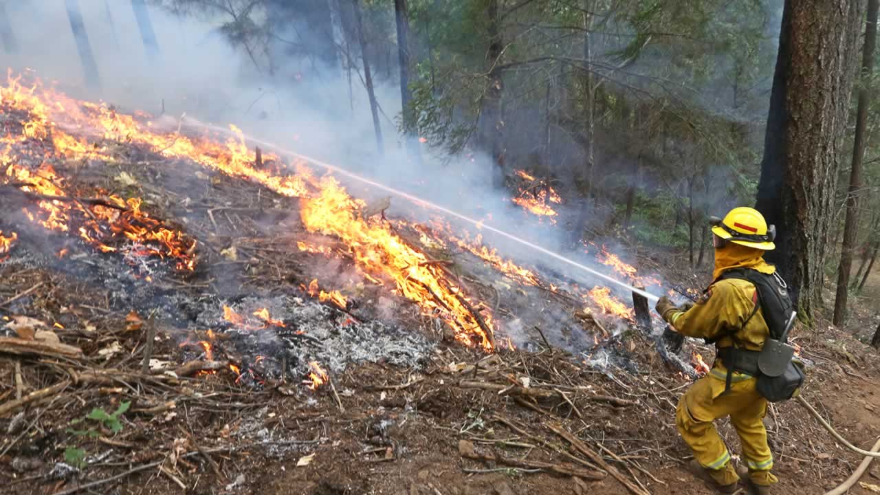 PHOTOS: Massive fire threatening 12,000 homes around town of Pollock ...