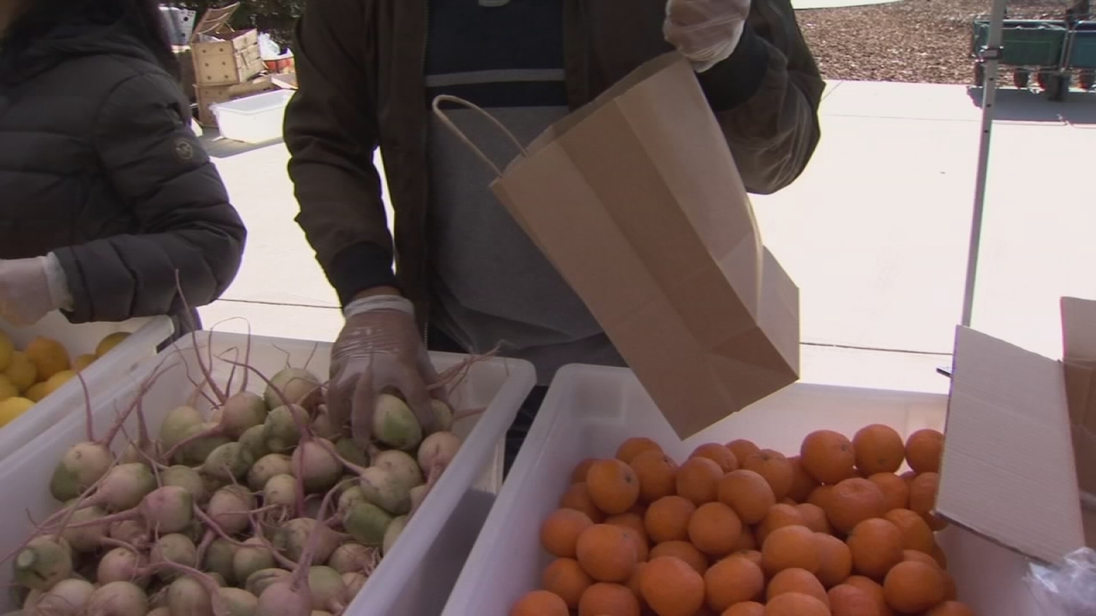 Roots to Stem: A growing movement to reduce food waste - ABC30 Fresno