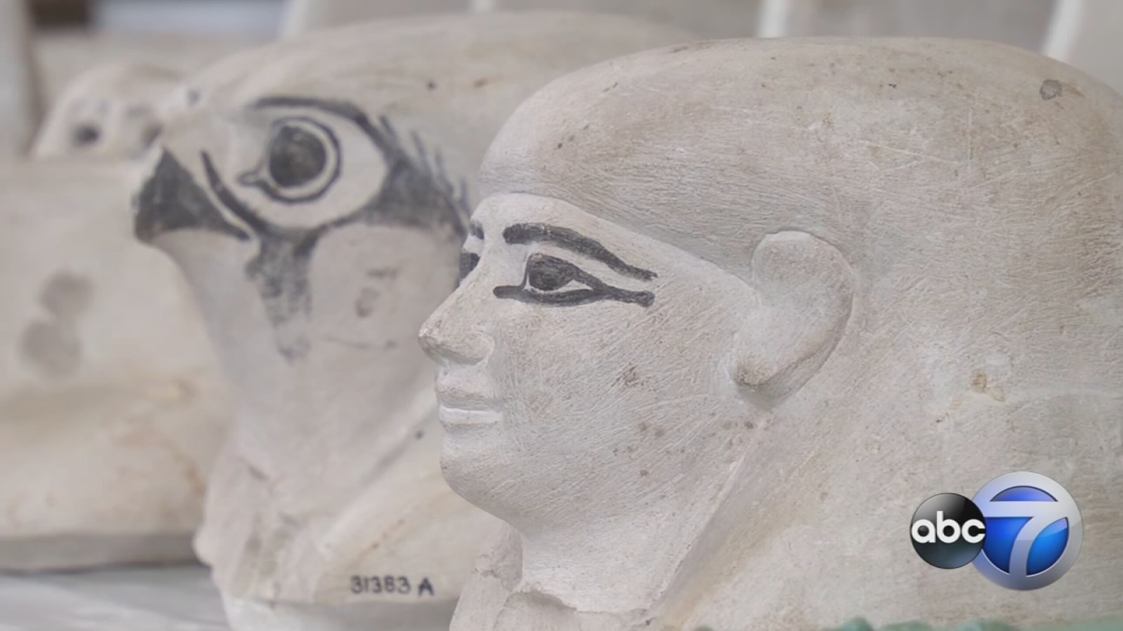 Mummies return to The Field Museum - ABC7 Chicago