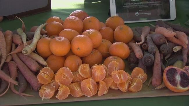 Roots to Stem: A growing movement to reduce food waste - ABC30 Fresno