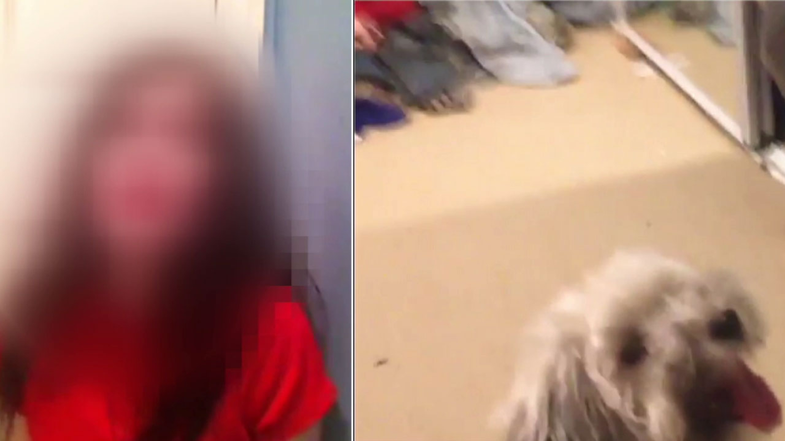 Perris torture case: Teen who escaped Turpin home posted videos under ...