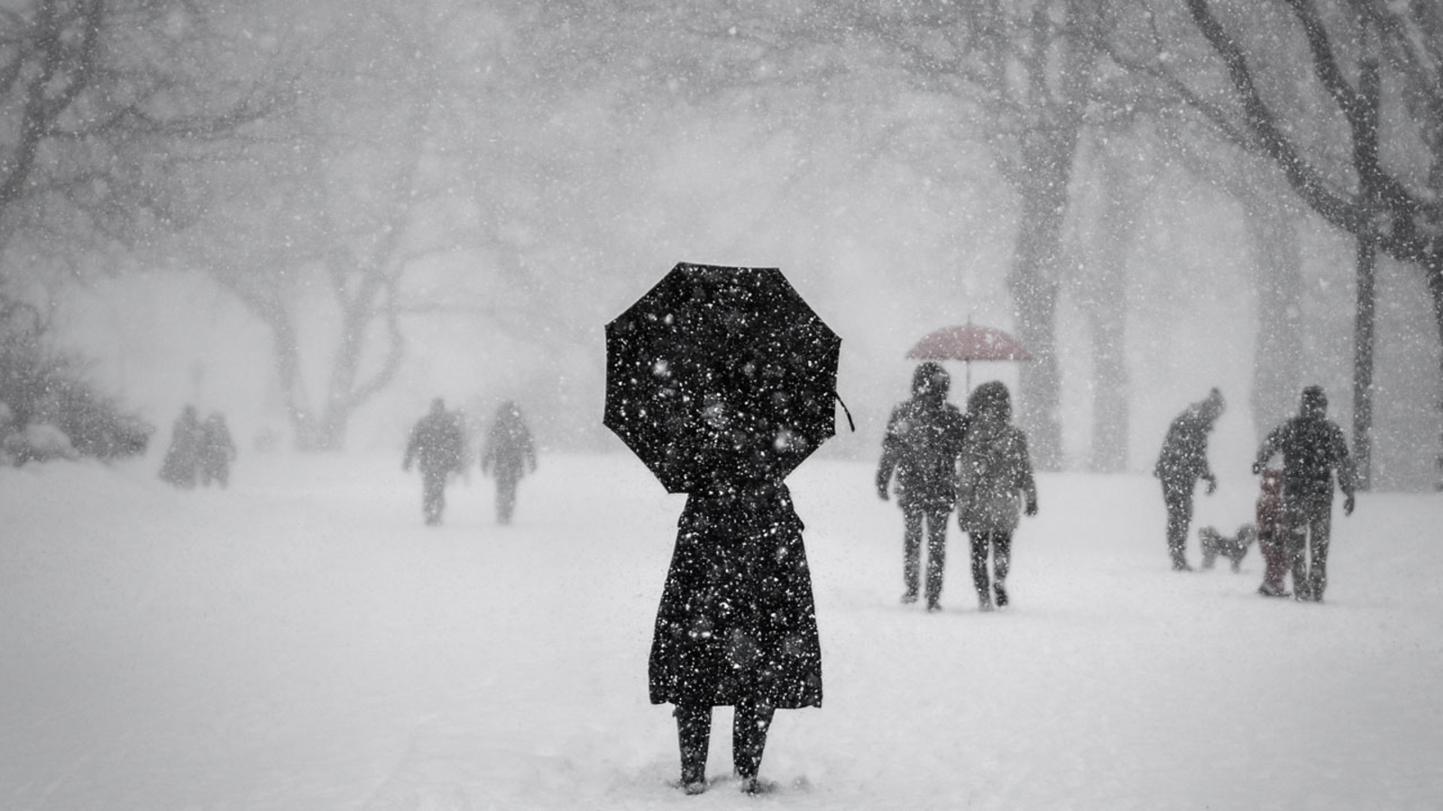 New York weather: Best, worst case scenarios for Wednesday storm - ABC7 ...