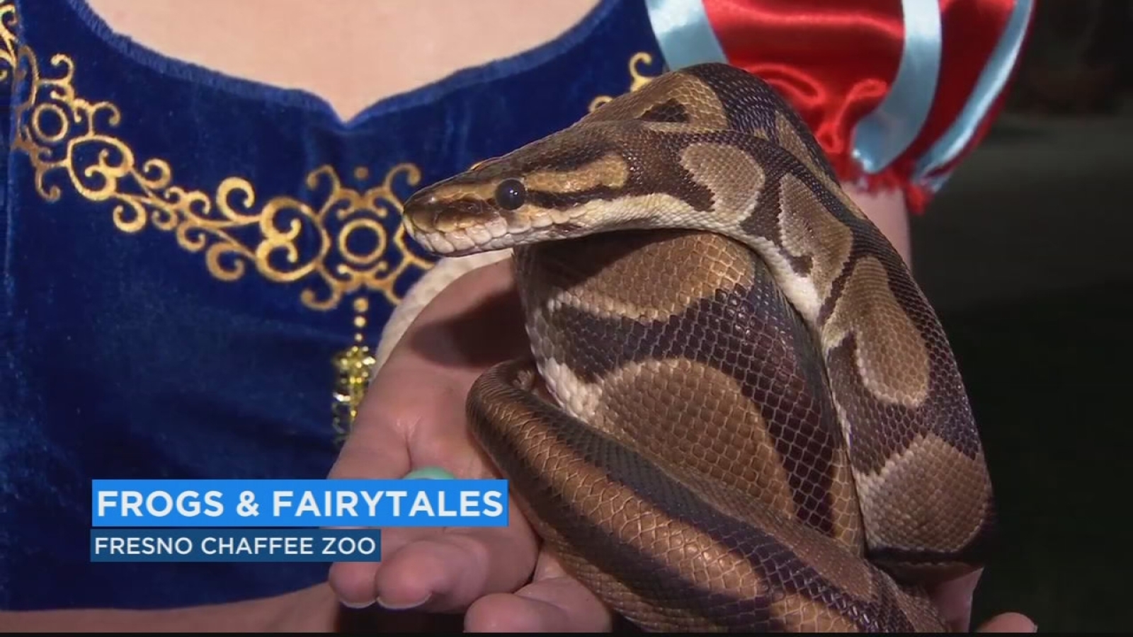 Chaffee Zoo using fairy tales to teach about amphibians and reptiles ...