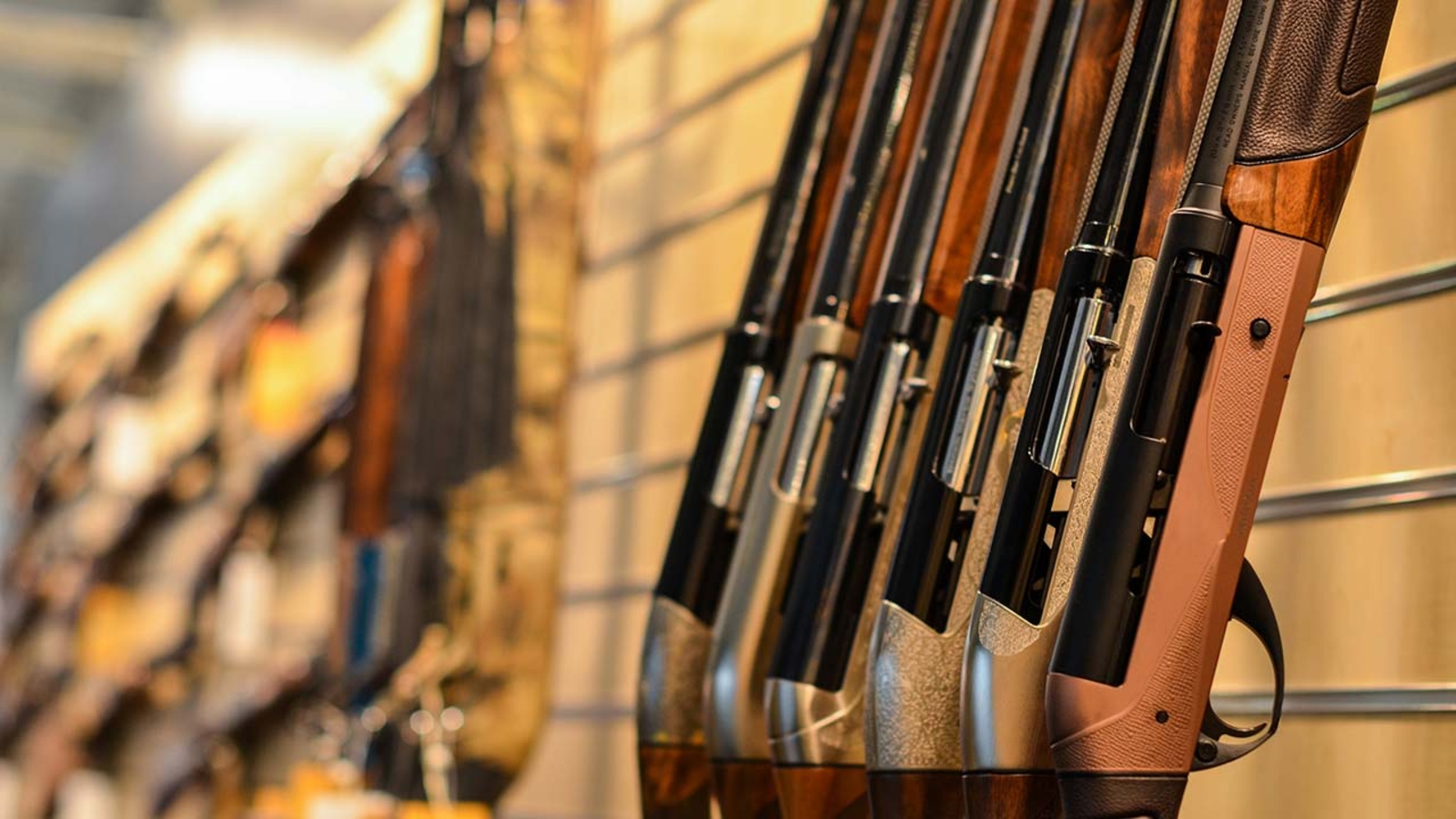 New legislation aims to increase the purchase age of long guns to 21 in ...