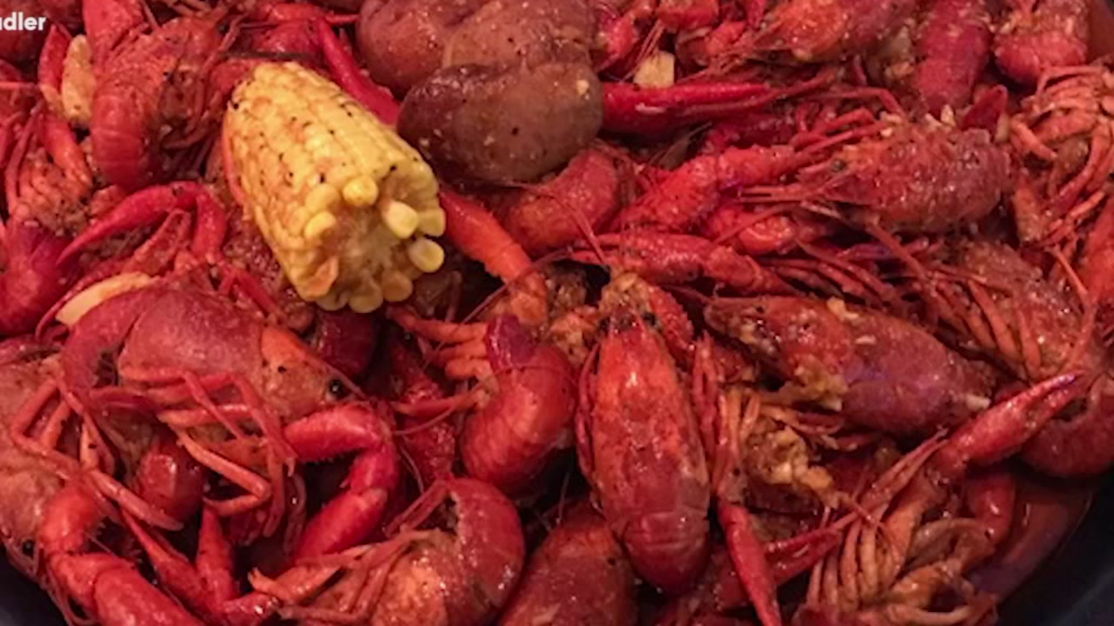 This genius app maps the best places for crawfish in Houston - ABC13 ...