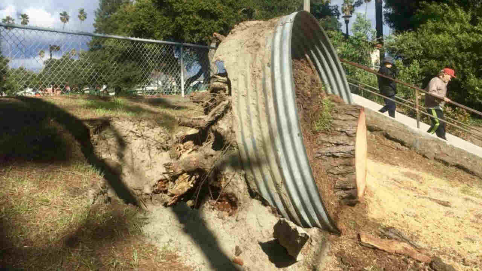 Alameda blames recent rains after tree falls on father watching ...